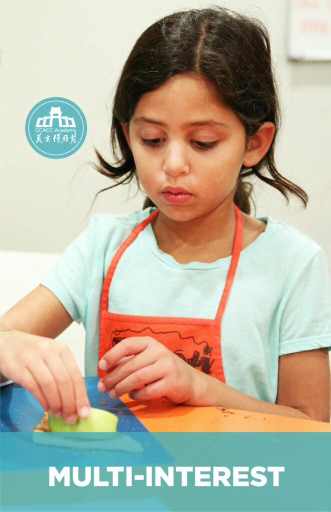 ccaccacademy.org – CCACC Academy