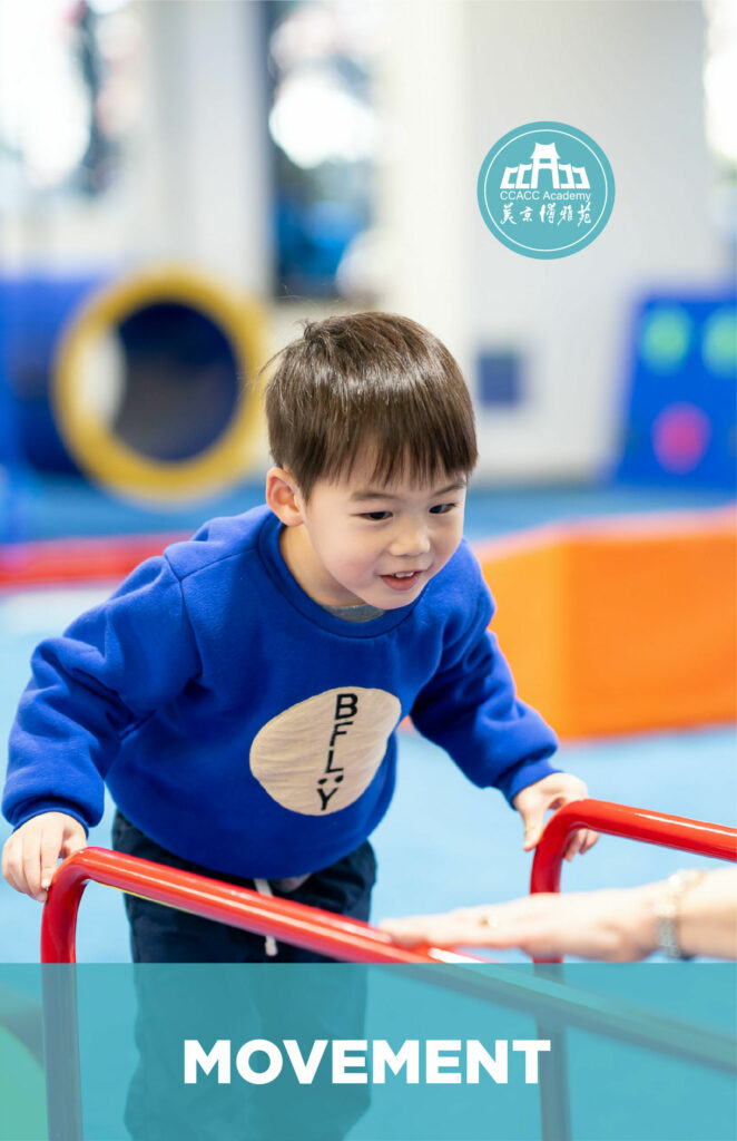 ccaccacademy.org – CCACC Academy